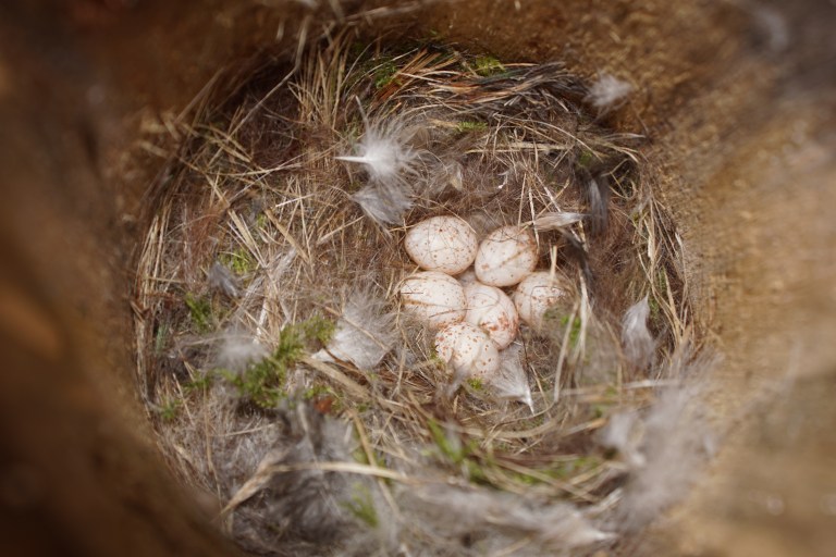 Events – WildSpace