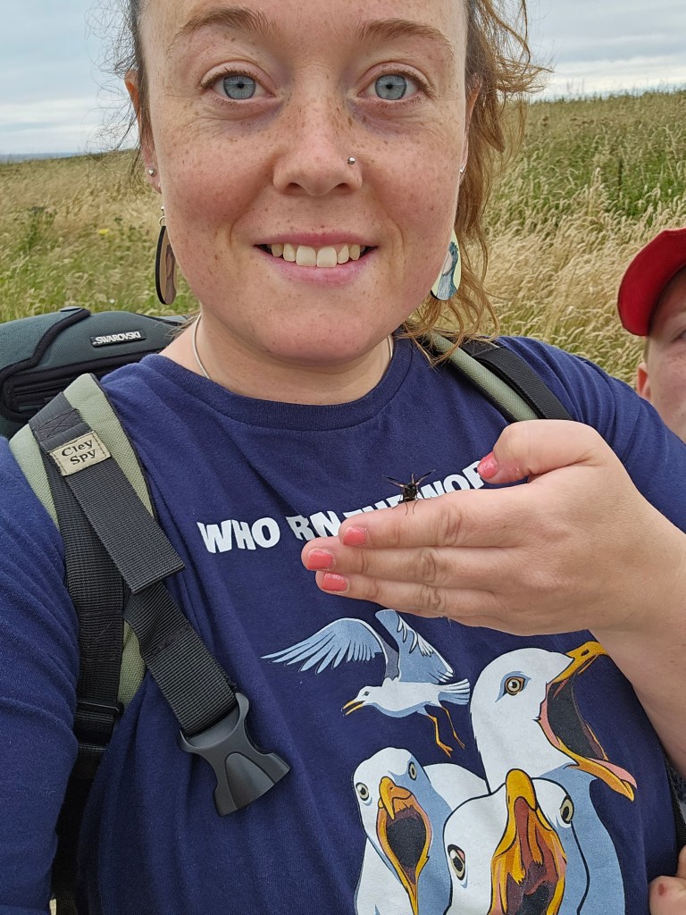 Meet the Team – WildSpace